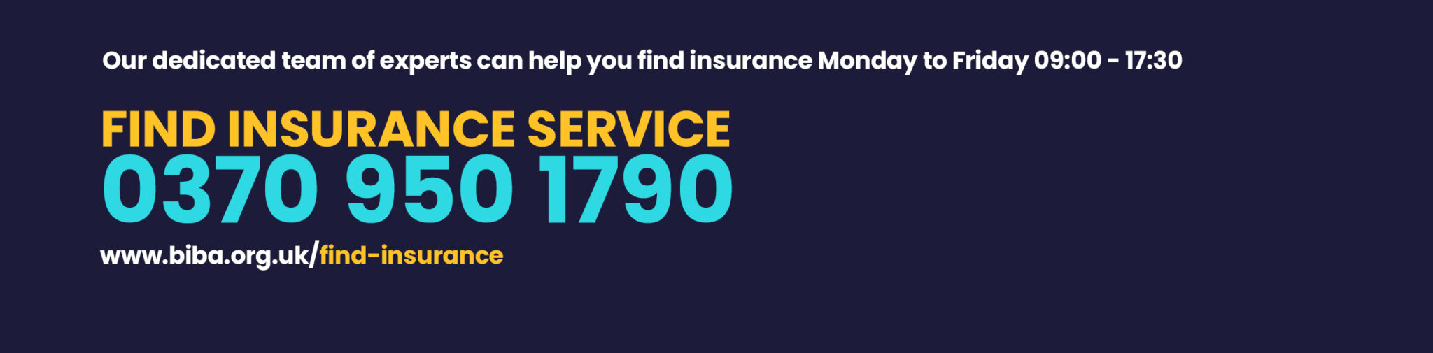 CASE STUDY: Commercial Insurance - BIBA